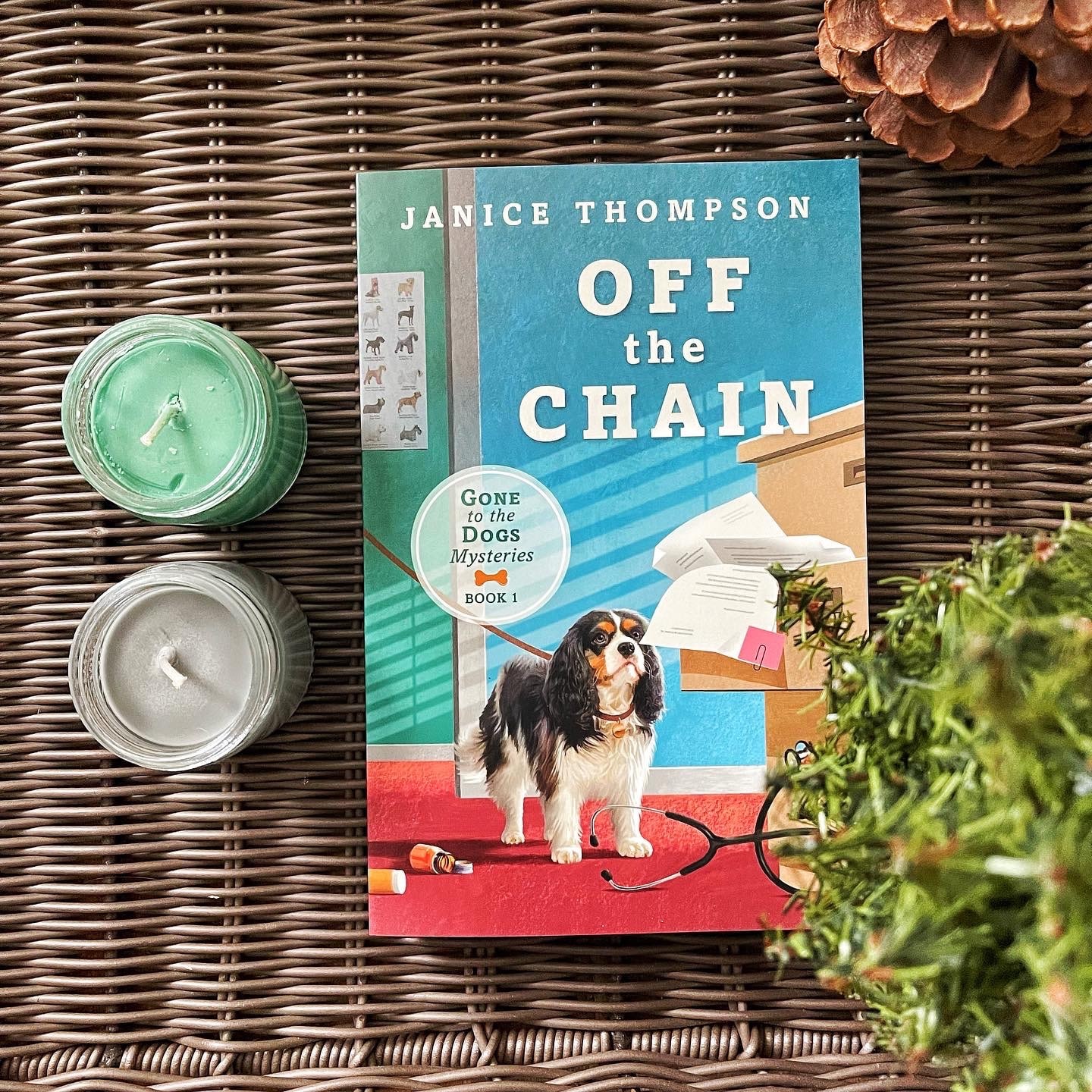 Book Spotlight: Off The Chain by Janice Thompson - Travelers Life Design