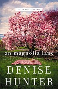 Romance Author Denise Hunter Book Series in Order - Travelers Wife 4 Life